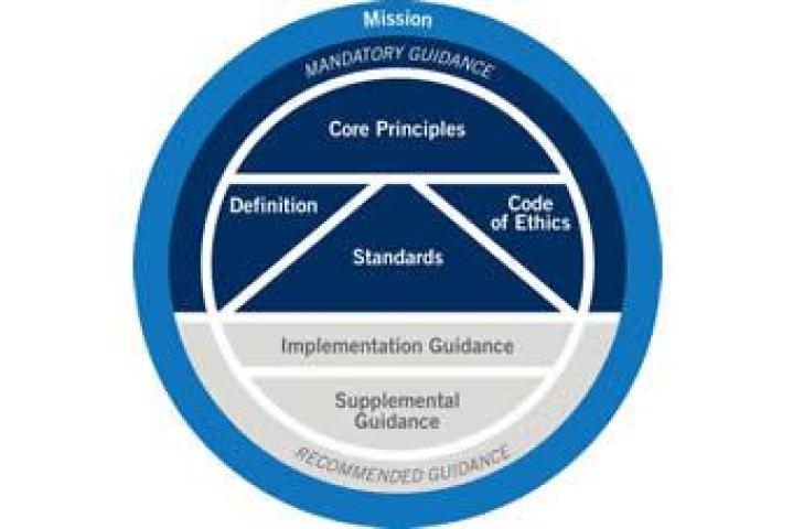 IIA Professional Practice Framework Updated | Office of Audit and ...